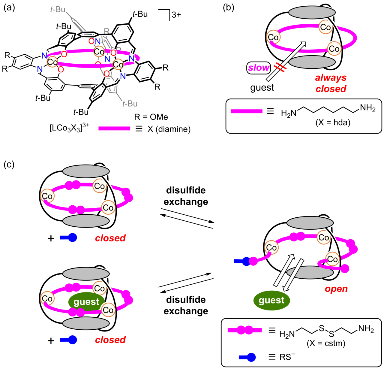 A closed cage-like molecule that can be opened – WPI Nano Life Science ...