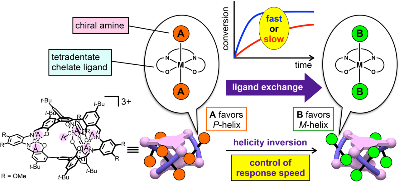 Chirality inversion in a helical molecule at controlled speeds – WPI ...