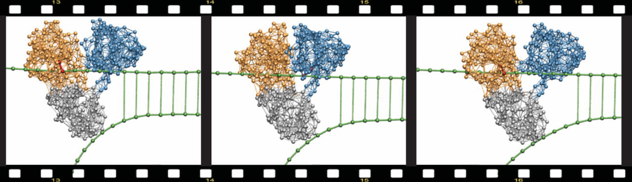 Review emphasizes the power of simple physical models for complex ...