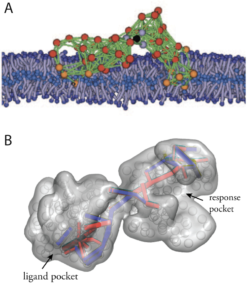 Review emphasizes the power of simple physical models for complex ...