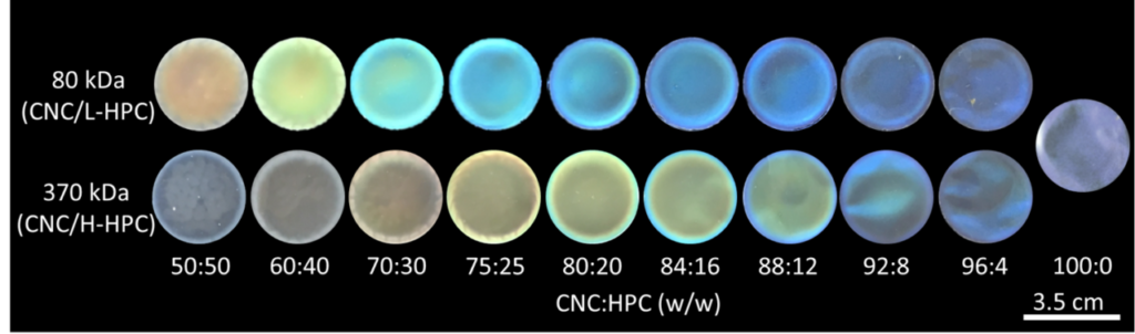 Mark J. MacLachlan – 金沢大学 ナノ生命科学研究所