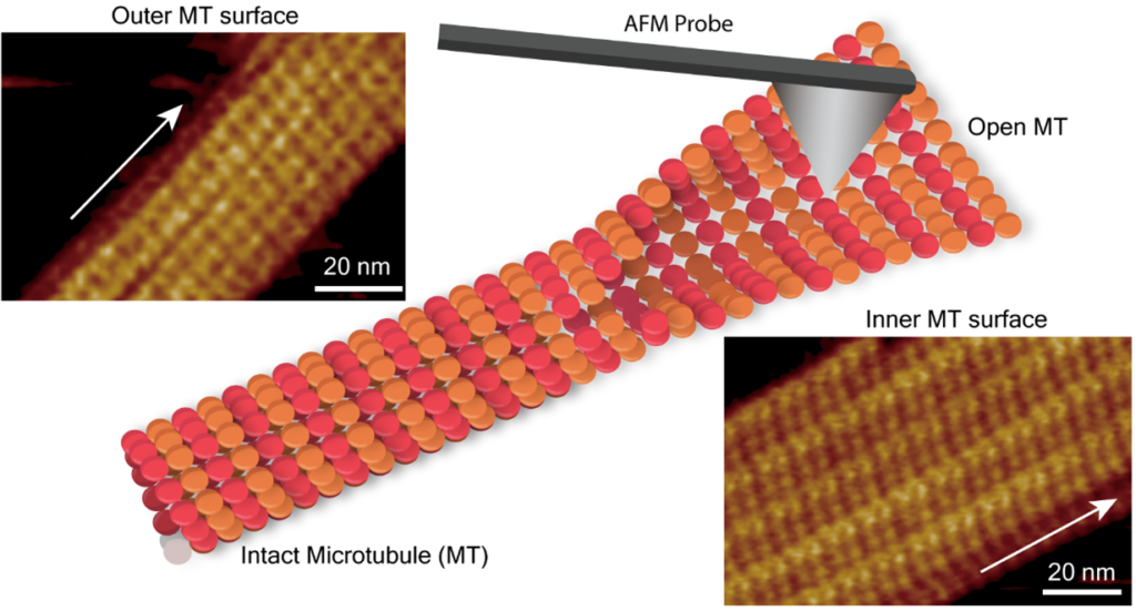 Kanazawa University Invites Industry Collaboration for Cutting-Edge Bio ...