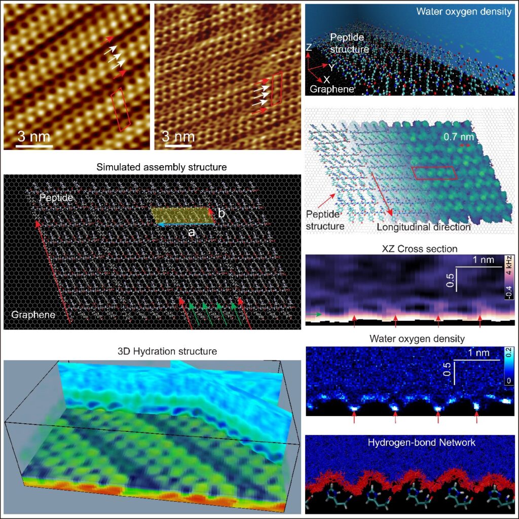 From Hydration Layers to Nanoarchitectures: Water’s Pivotal Role in ...