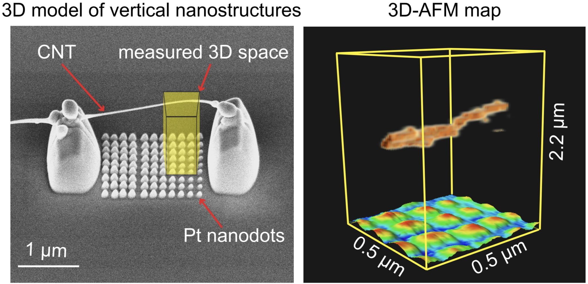 3次元原子間力顕微鏡（3D-AFM）の イメージング機構の解明に成功！ – 金沢大学 ナノ生命科学研究所