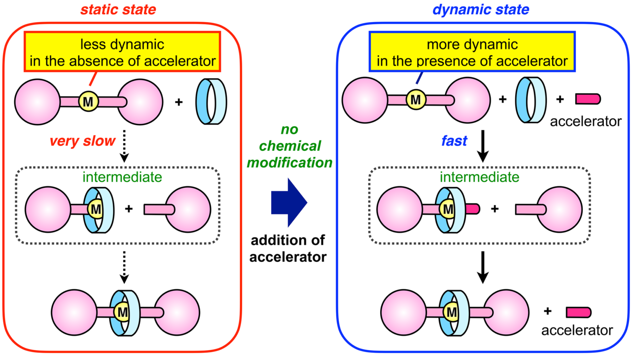 Locking and unlocking molecular structures on demand – WPI Nano Life ...